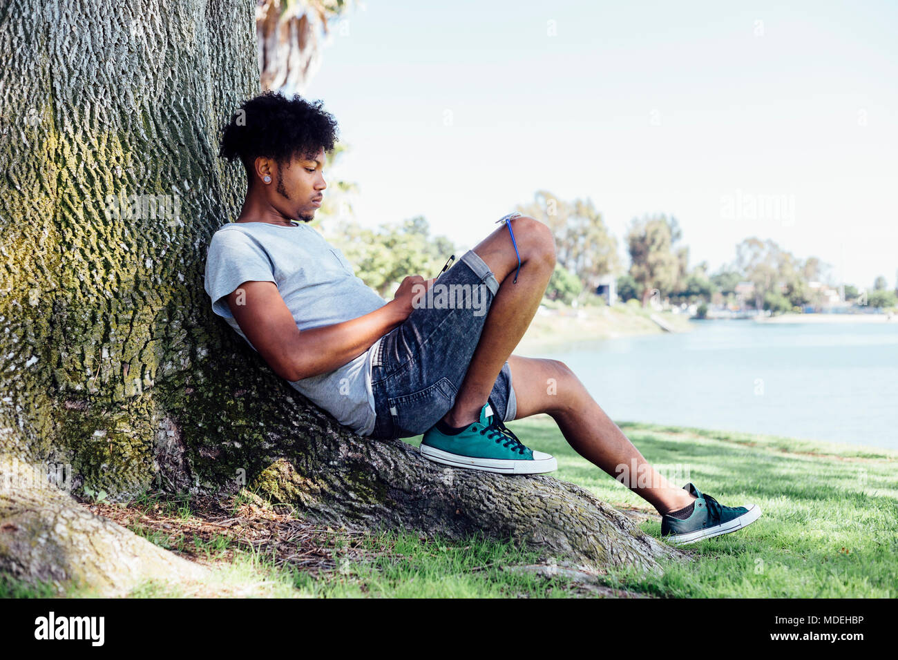 Man sitting on root of tree Stock Photo - Alamy