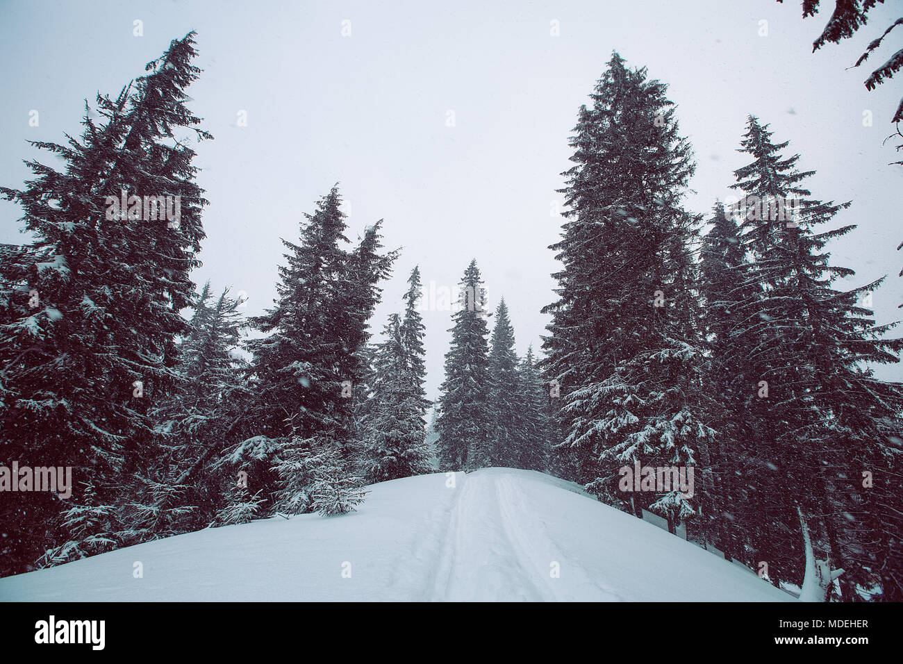 Gurne hi-res stock photography and images - Alamy