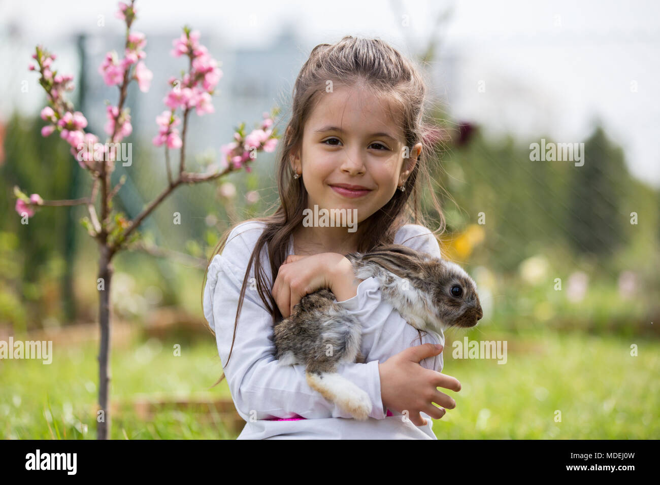 Little girl playing with white rabbit in park on a sunny summer day ...
