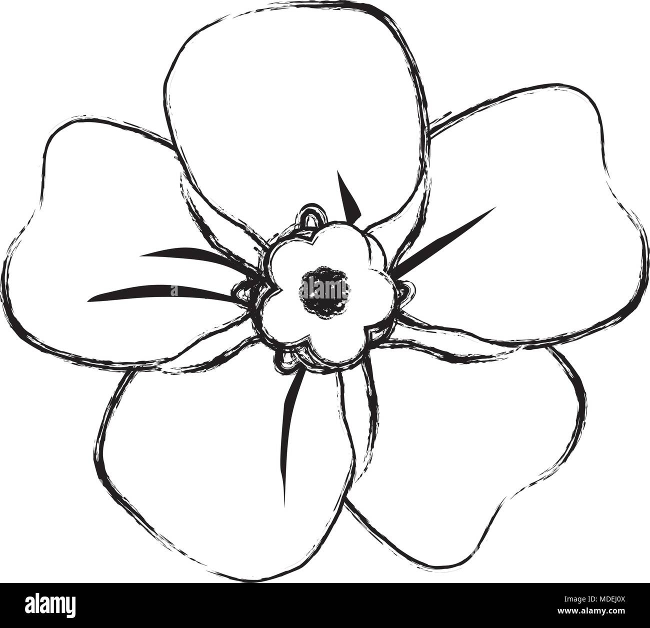 grunge beautiful flower decoration with cute petals Stock Vector Image ...