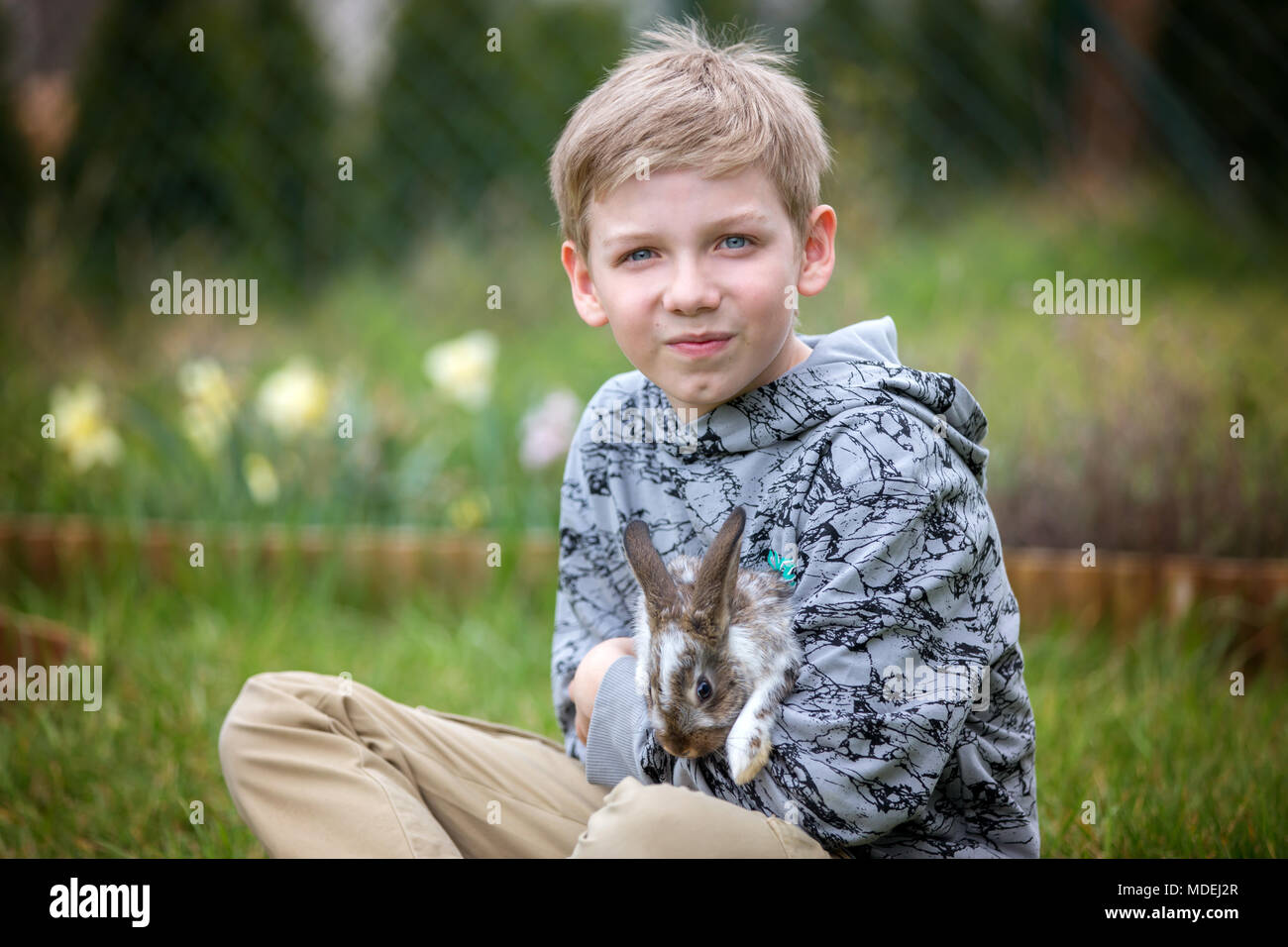Preschool child, cute boy, playing with little rabbit outdoors, kid and ...