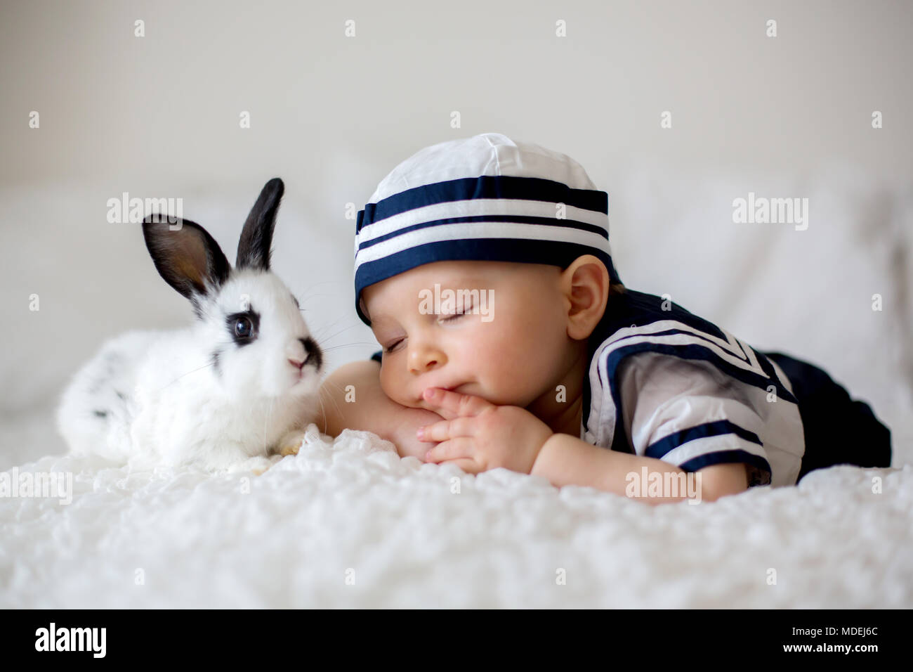 Cute Baby Bunnies Sleeping