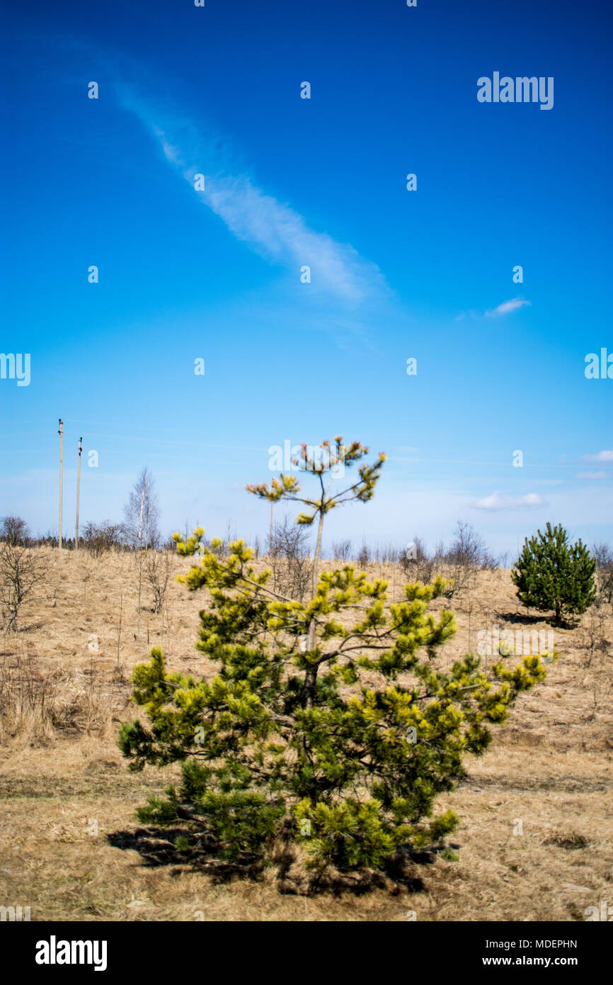 Bathing in the sun hi-res stock photography and images - Alamy