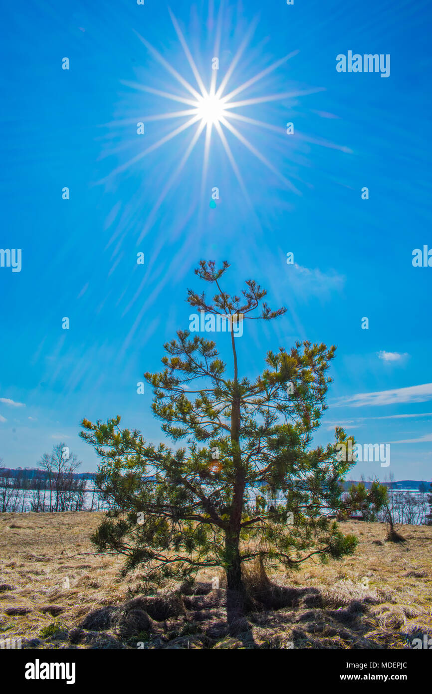 Hitting lens hi-res stock photography and images - Alamy