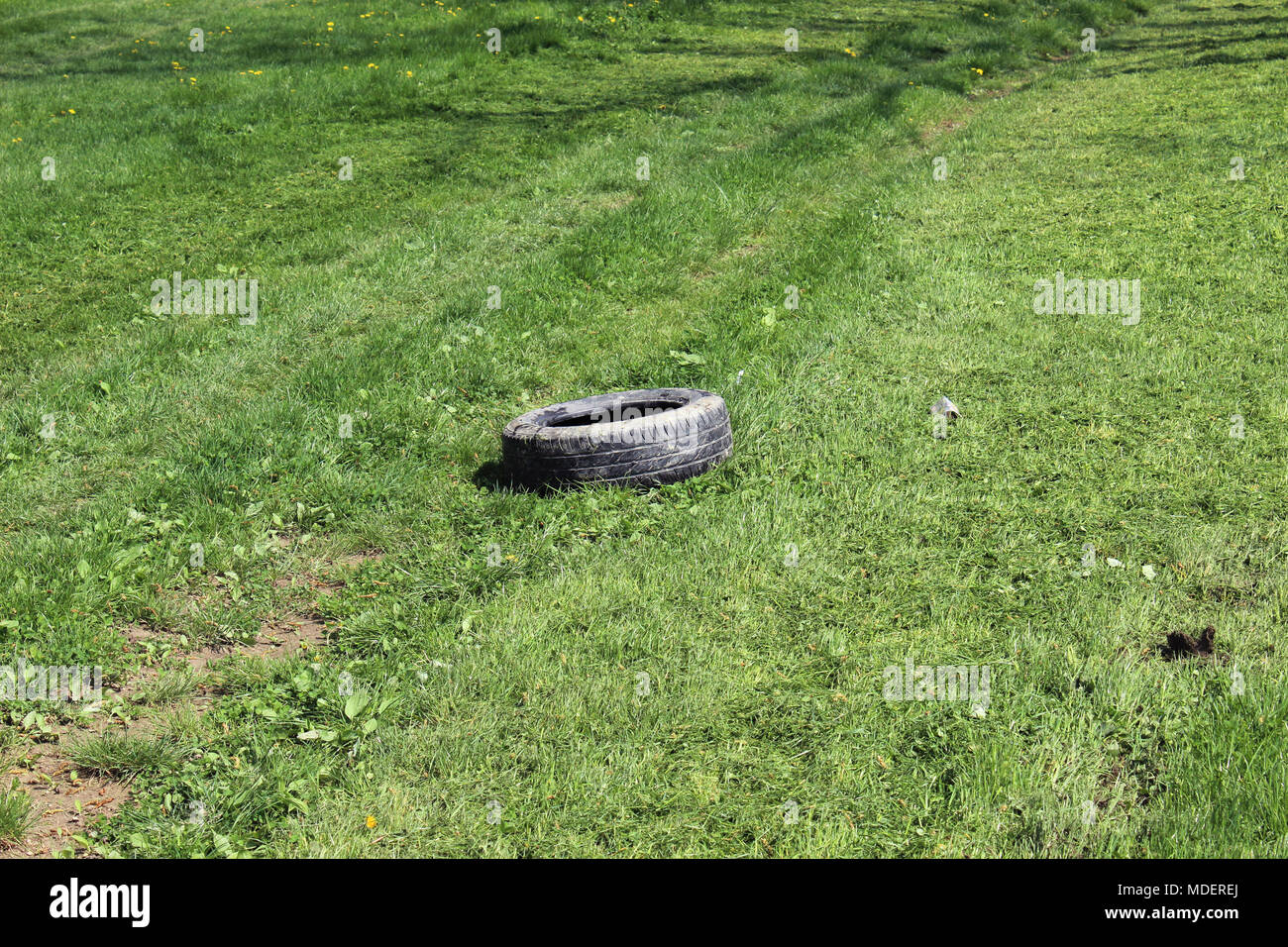 Car wheel grass hi-res stock photography and images - Alamy