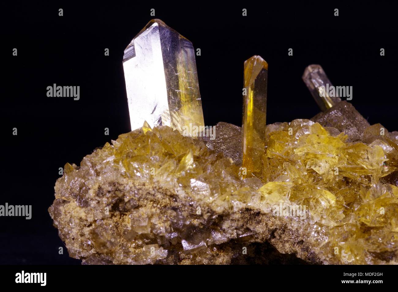 Yellow Fishtail Gypsum Crystal Cluster. Macro Image of Geological ...