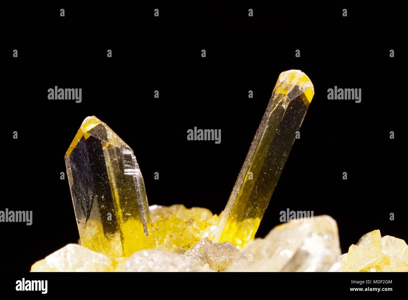 Yellow Fishtail Gypsum Crystal Cluster. Macro Image of Geological ...