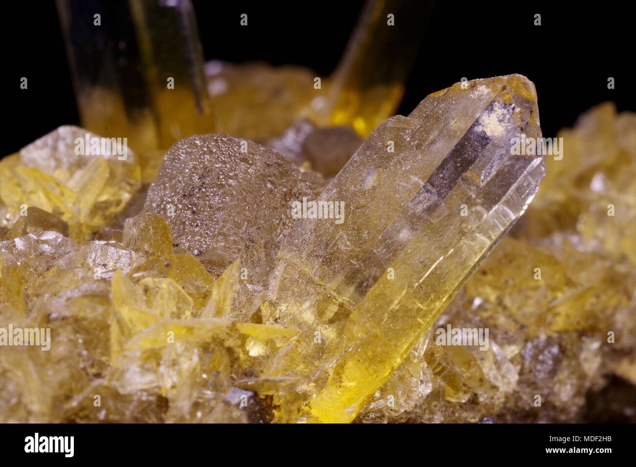 Yellow Fishtail Gypsum Crystal Cluster. Macro Image of Geological ...