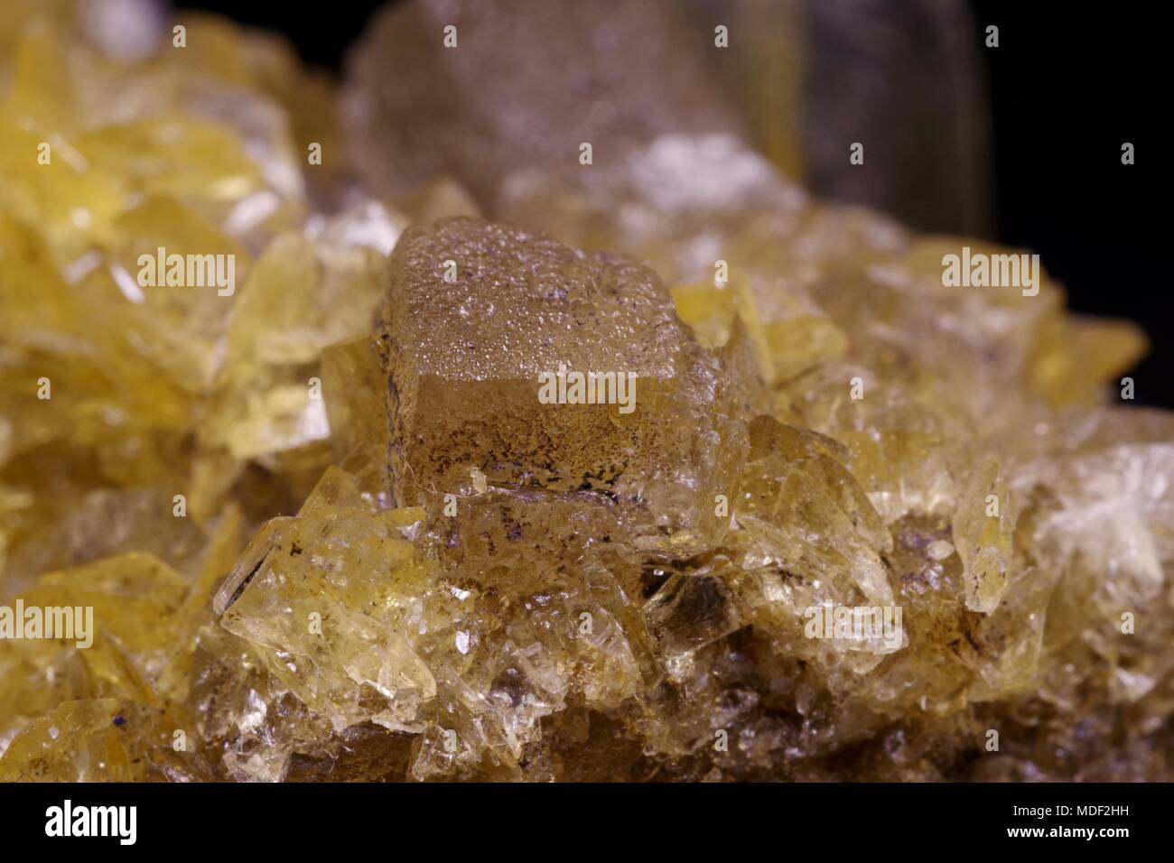 Yellow Fishtail Gypsum Crystal Cluster. Macro Image of Geological ...