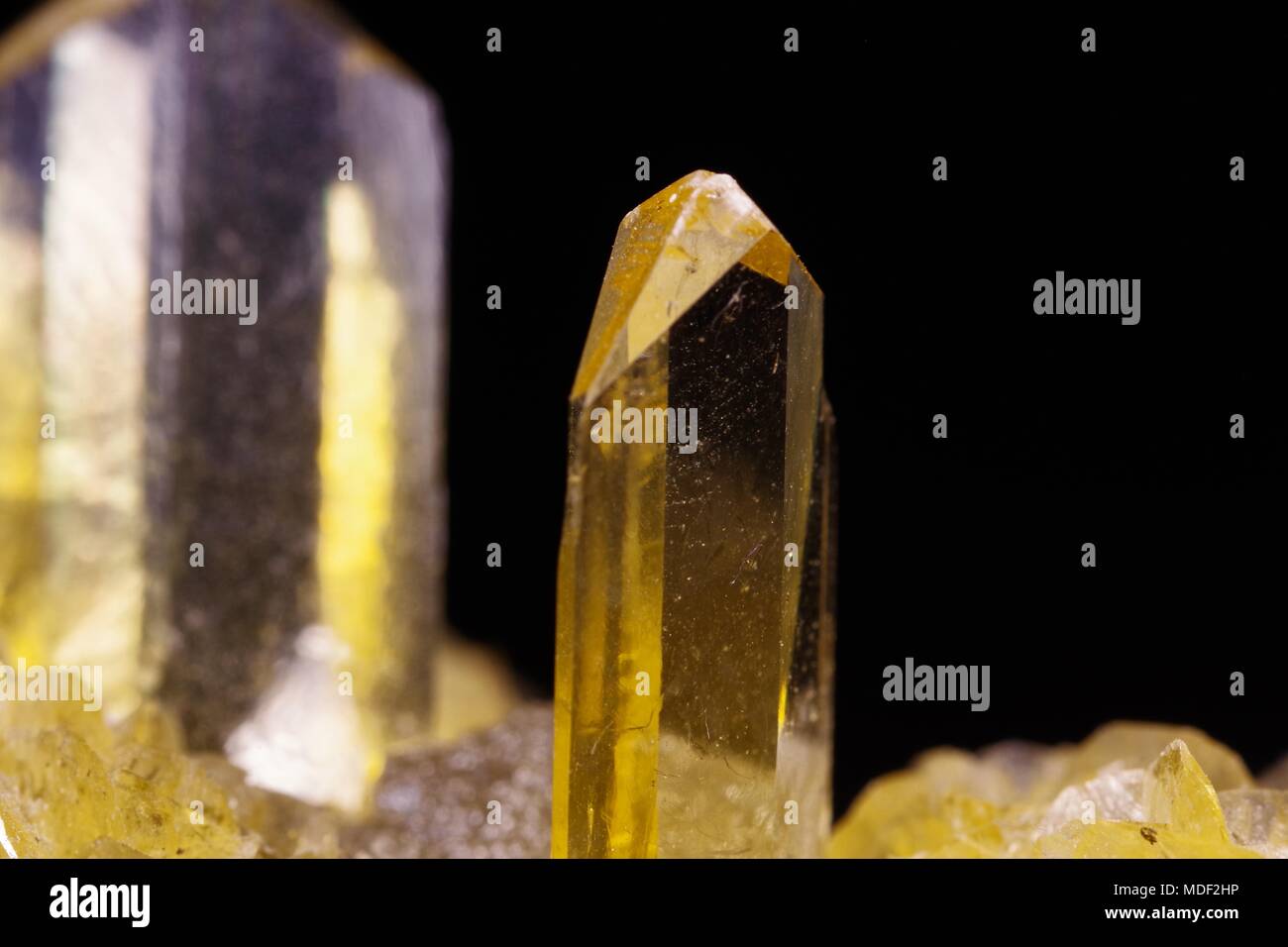 Yellow Fishtail Gypsum Crystal Cluster. Macro Image of Geological ...