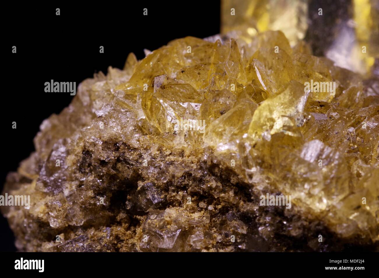 Yellow Fishtail Gypsum Crystal Cluster. Macro Image of Geological ...