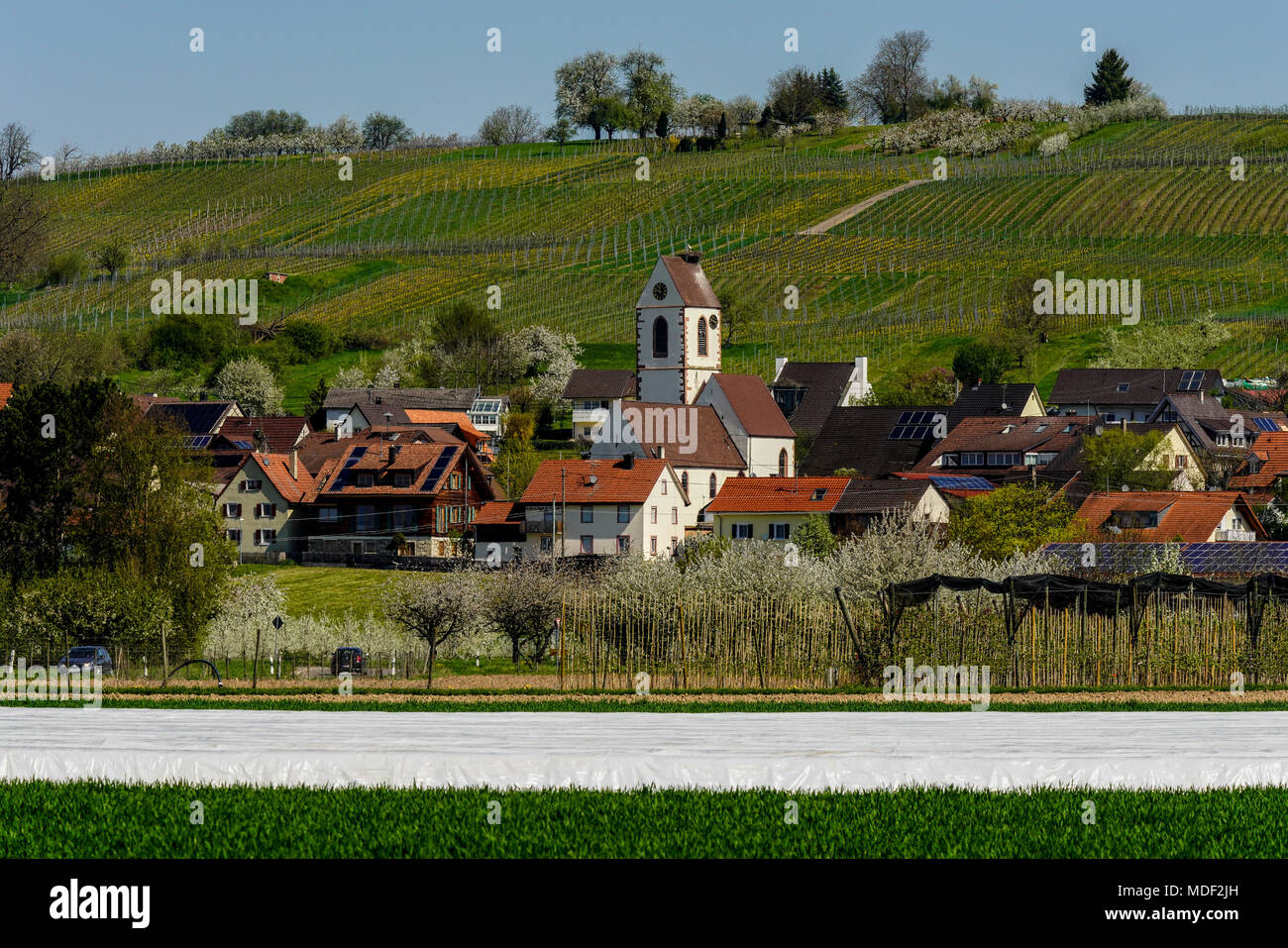 Eimeldingen hi-res stock photography and images - Alamy