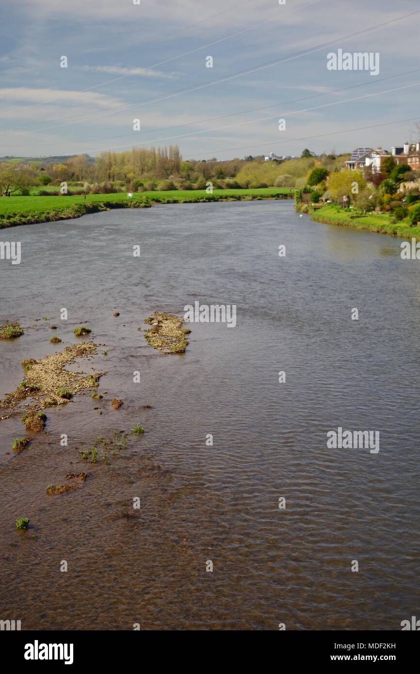 River Exe County Park, on a Fine Spring Day. Viewed from Bridge Road ...