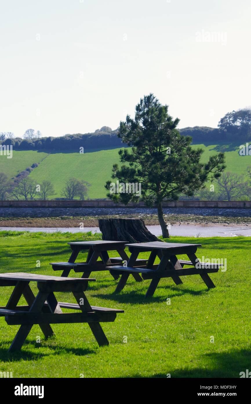 Three Wooden Picnic Benches by Vibrant Green Grass of Mixed Wooded ...