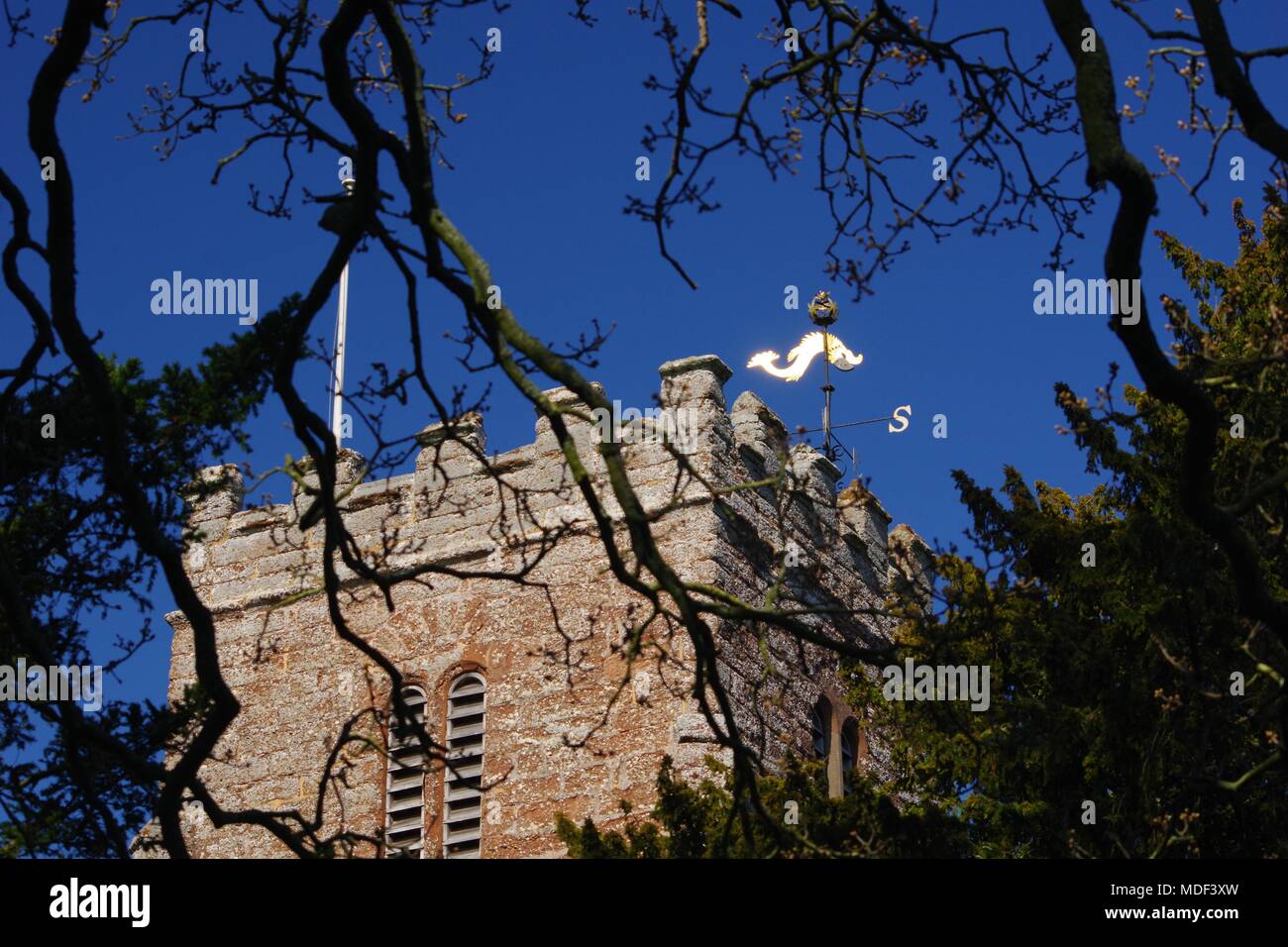 Powderham church hi-res stock photography and images - Alamy