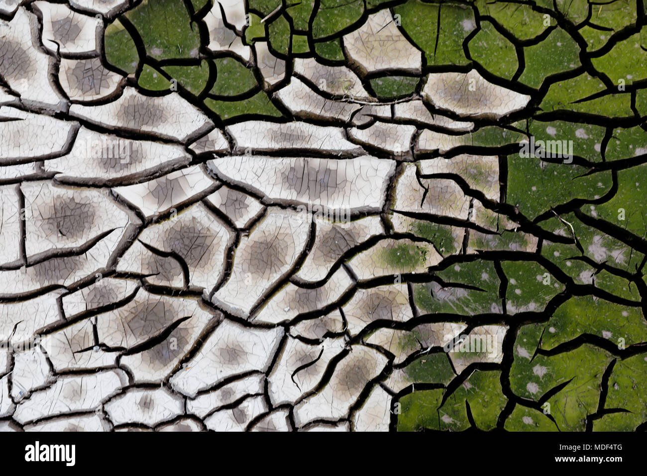 cracked earth texture Stock Photo - Alamy