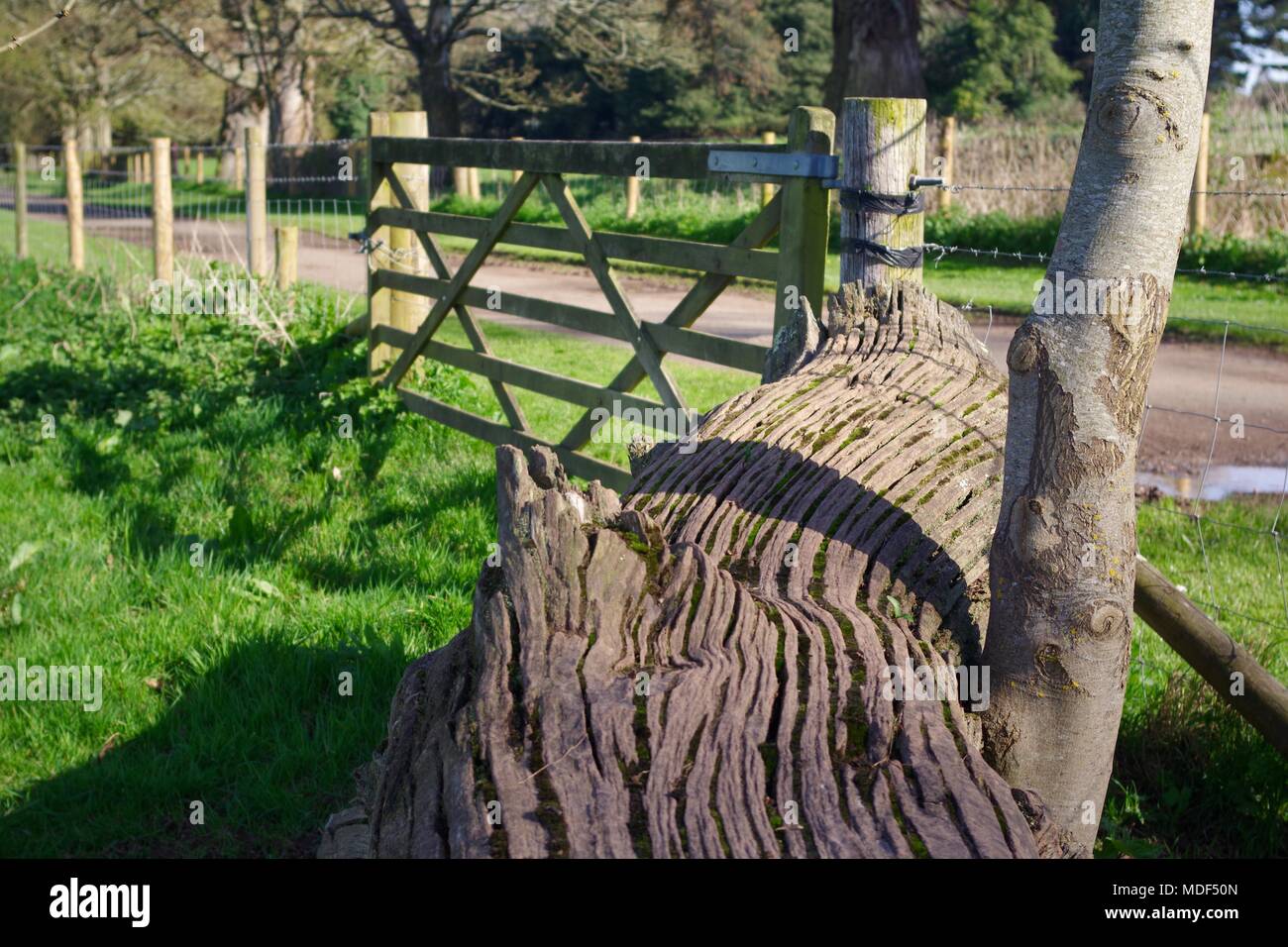 Wooden Farm Gate beyond a Field and Fallen Tree Branch. Powderham ...