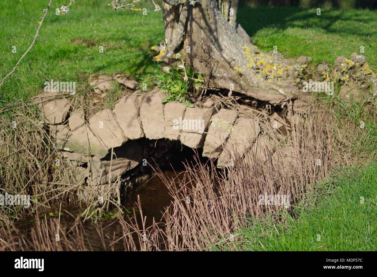Small Stone Arch Bridge over a Fram Drainage Ditch with a Tree Growing ...