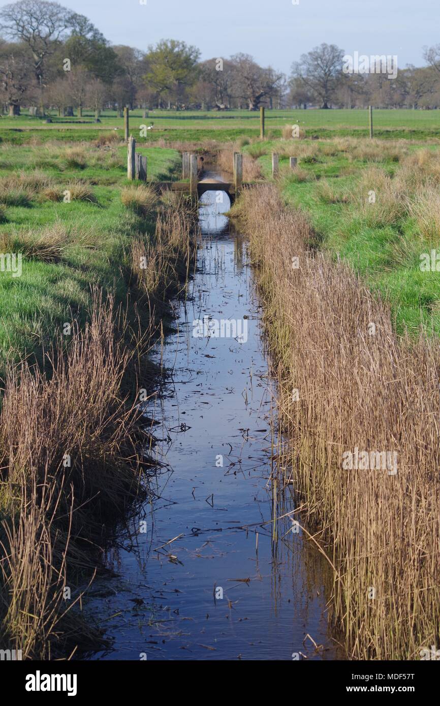 Reed Drainage Ditch High Resolution Stock Photography and Images - Alamy