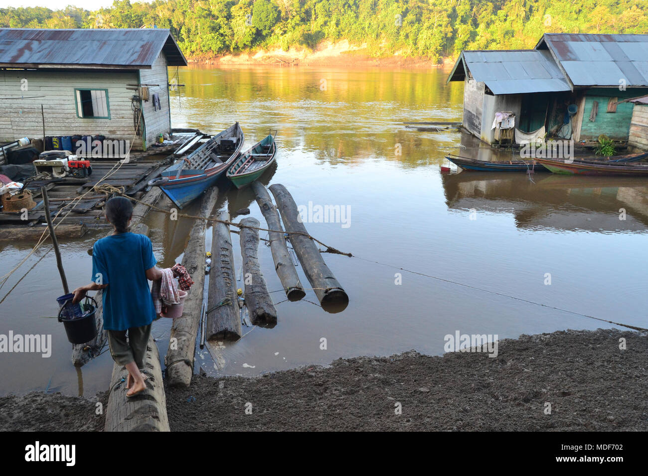 community activities on the Barito river, Borneo, Indonesia Stock Photo ...