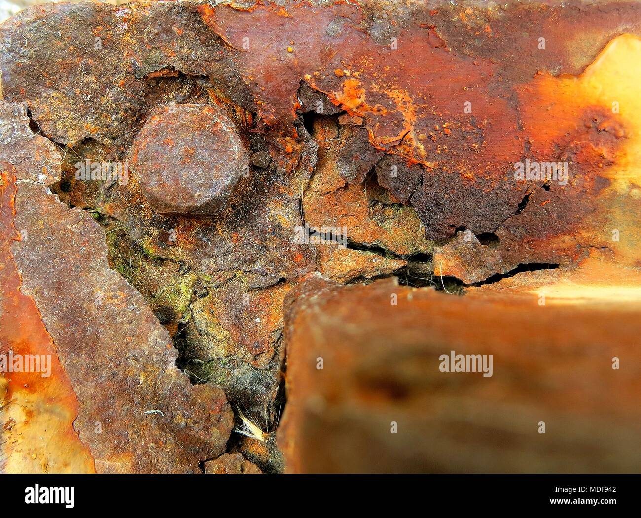 Colorful rusty bolt macro hi-res stock photography and images - Alamy