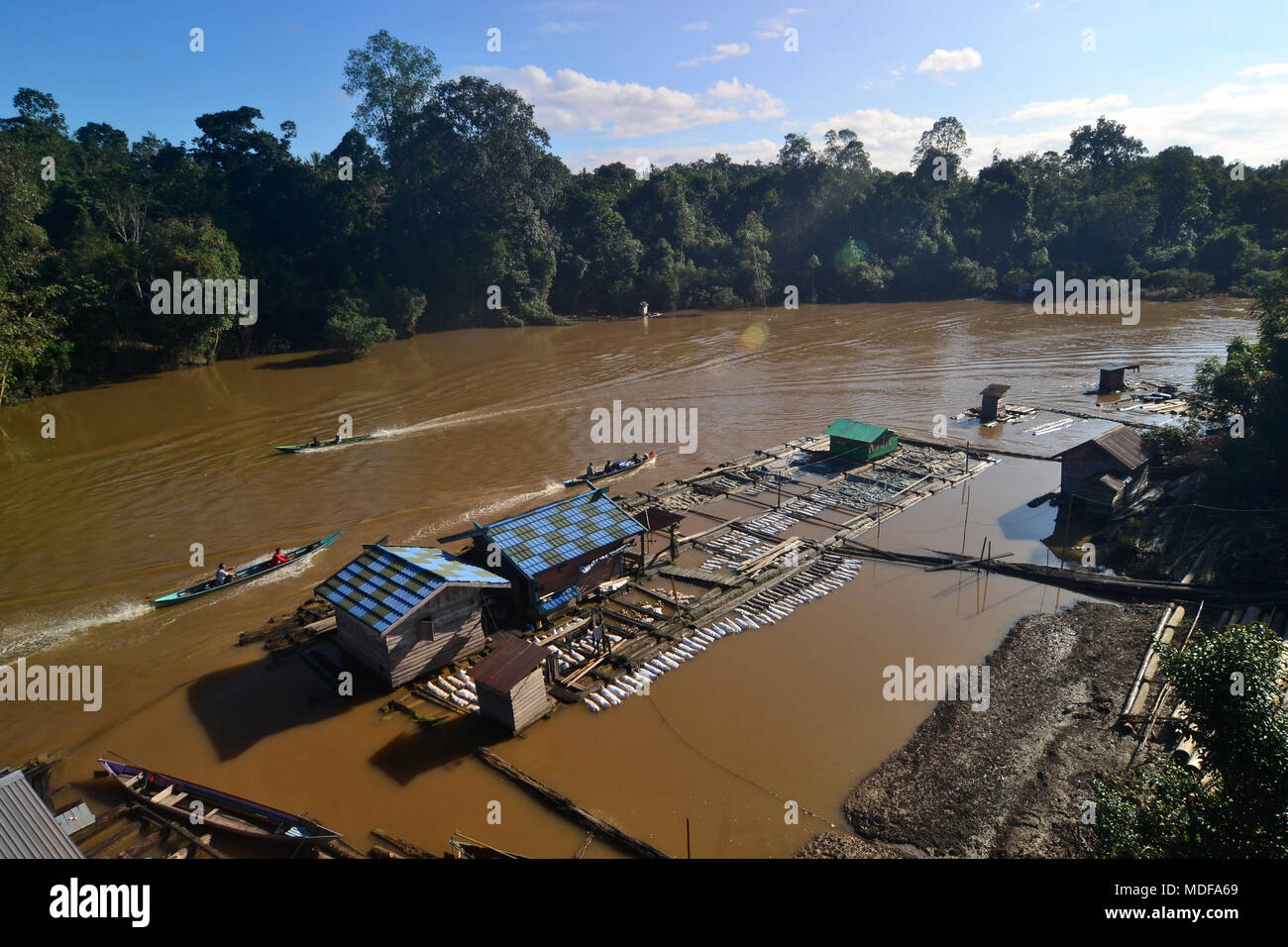 community activities on the Barito river, Borneo, Indonesia Stock Photo ...