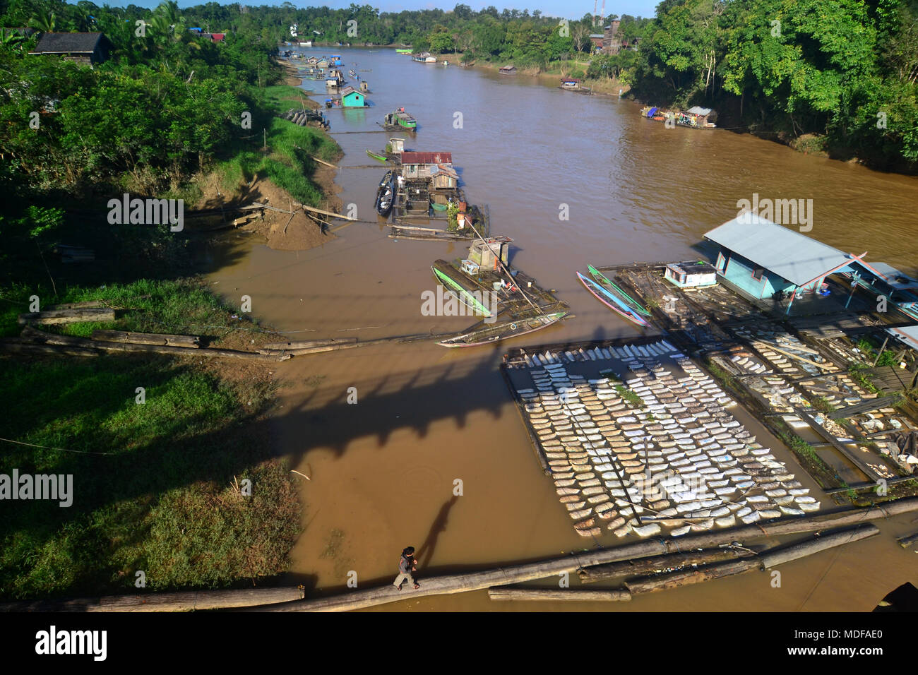 community activities on the Barito river, Borneo, Indonesia Stock Photo ...