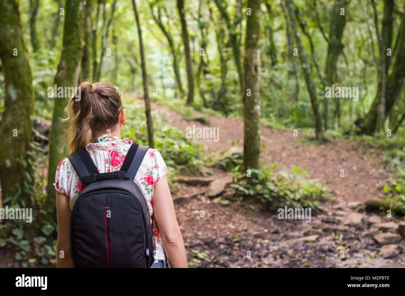 Great concept of trail, back view of young woman walking Stock Photo ...