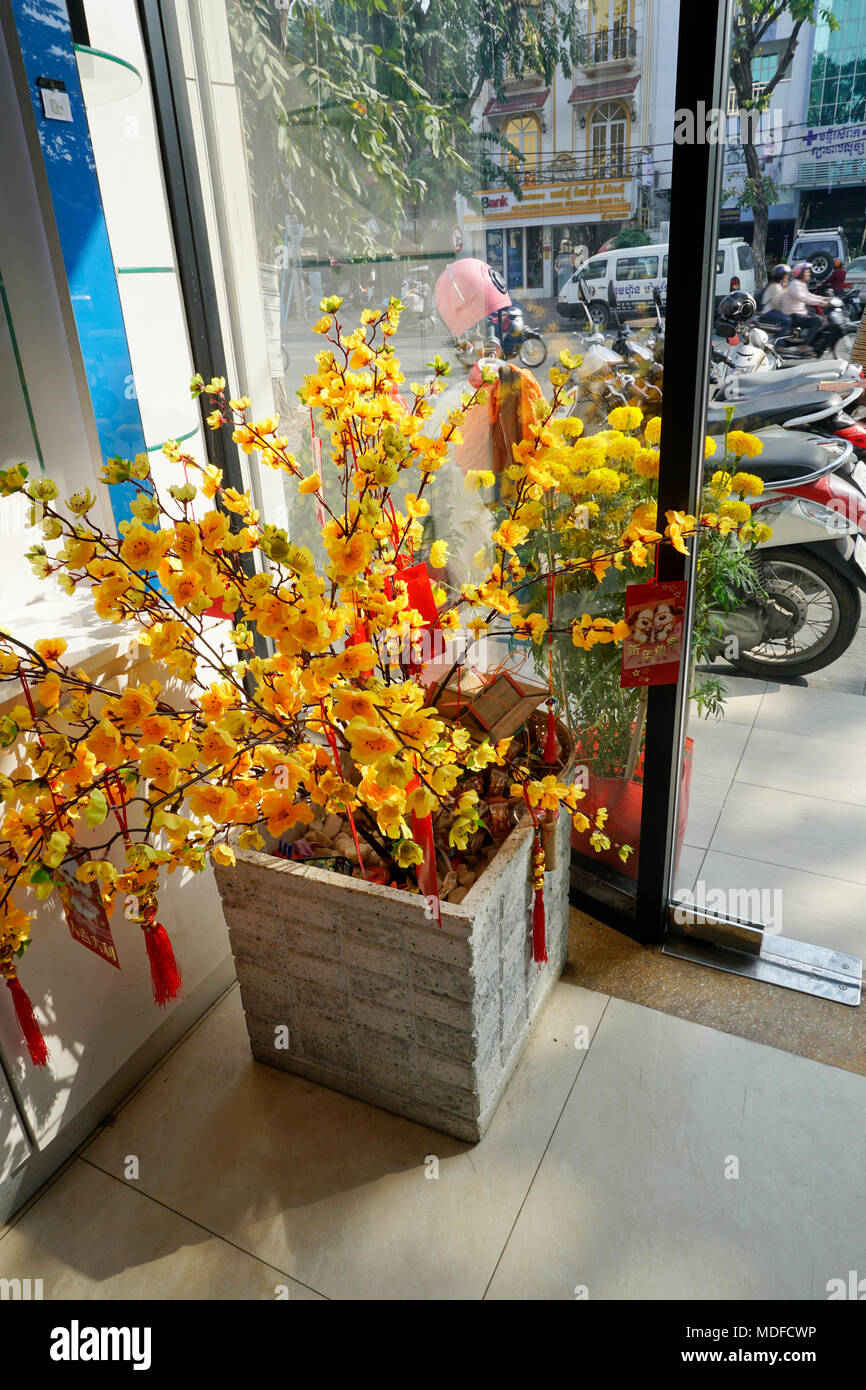 Vietnam tet tree hi-res stock photography and images - Alamy