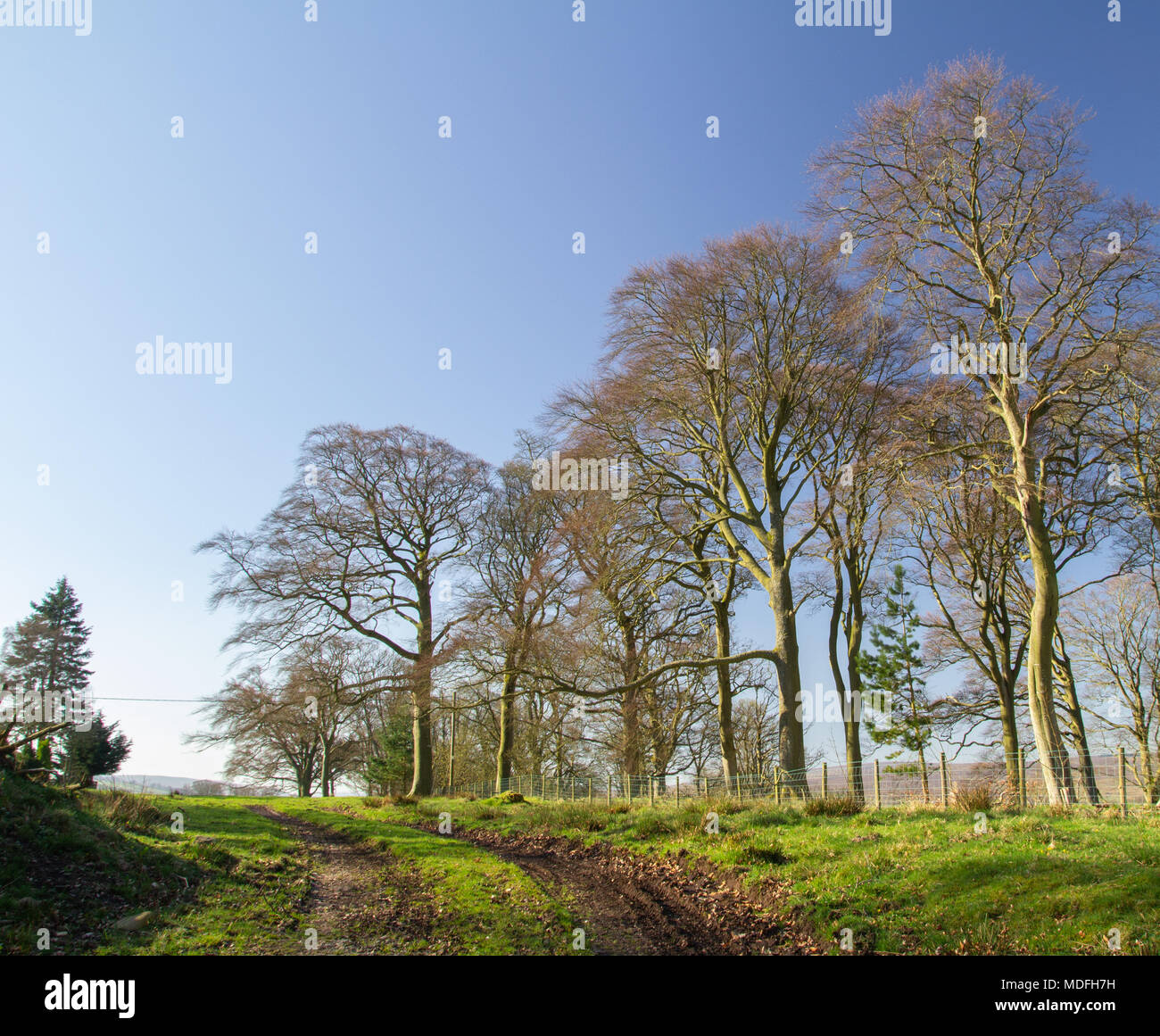 Track Across Field High Resolution Stock Photography and Images - Alamy