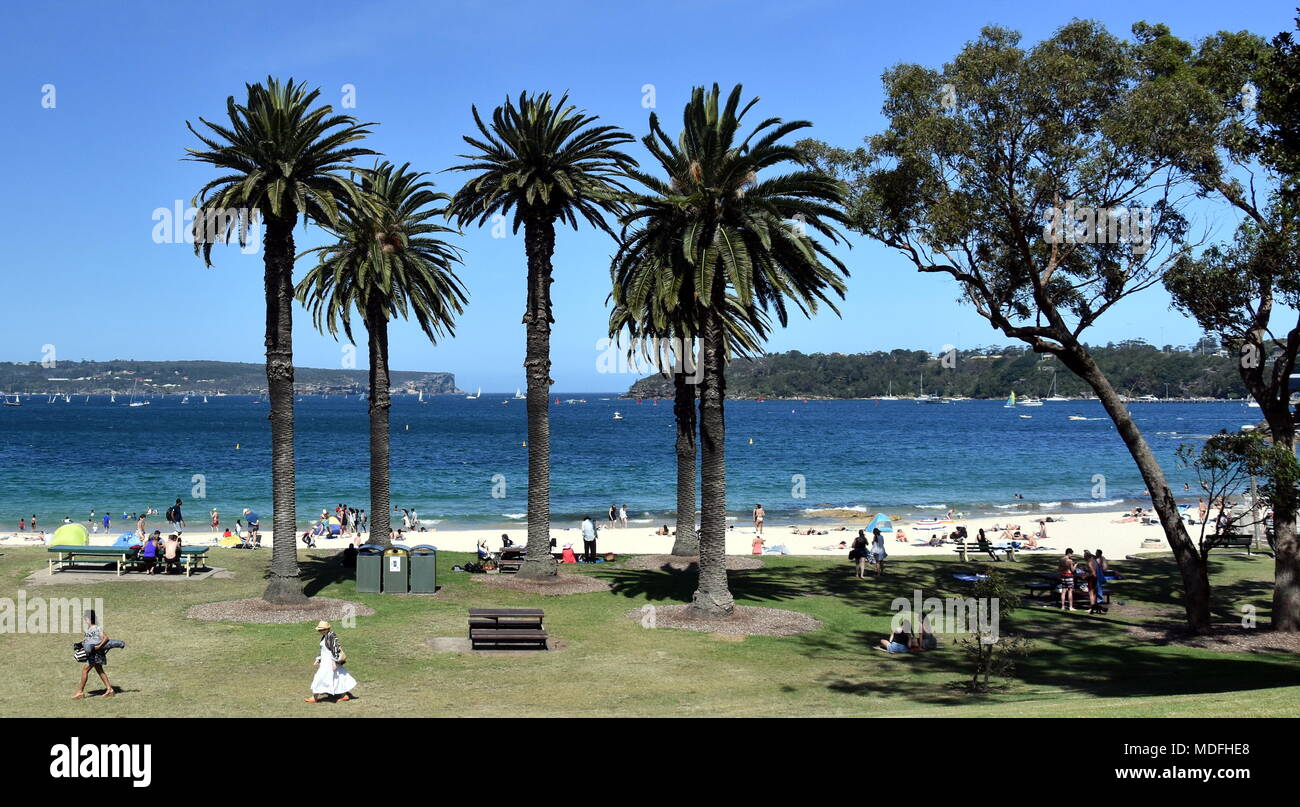 Balmoral beach with palm trees. Entrance of Sydney Harbour with North ...