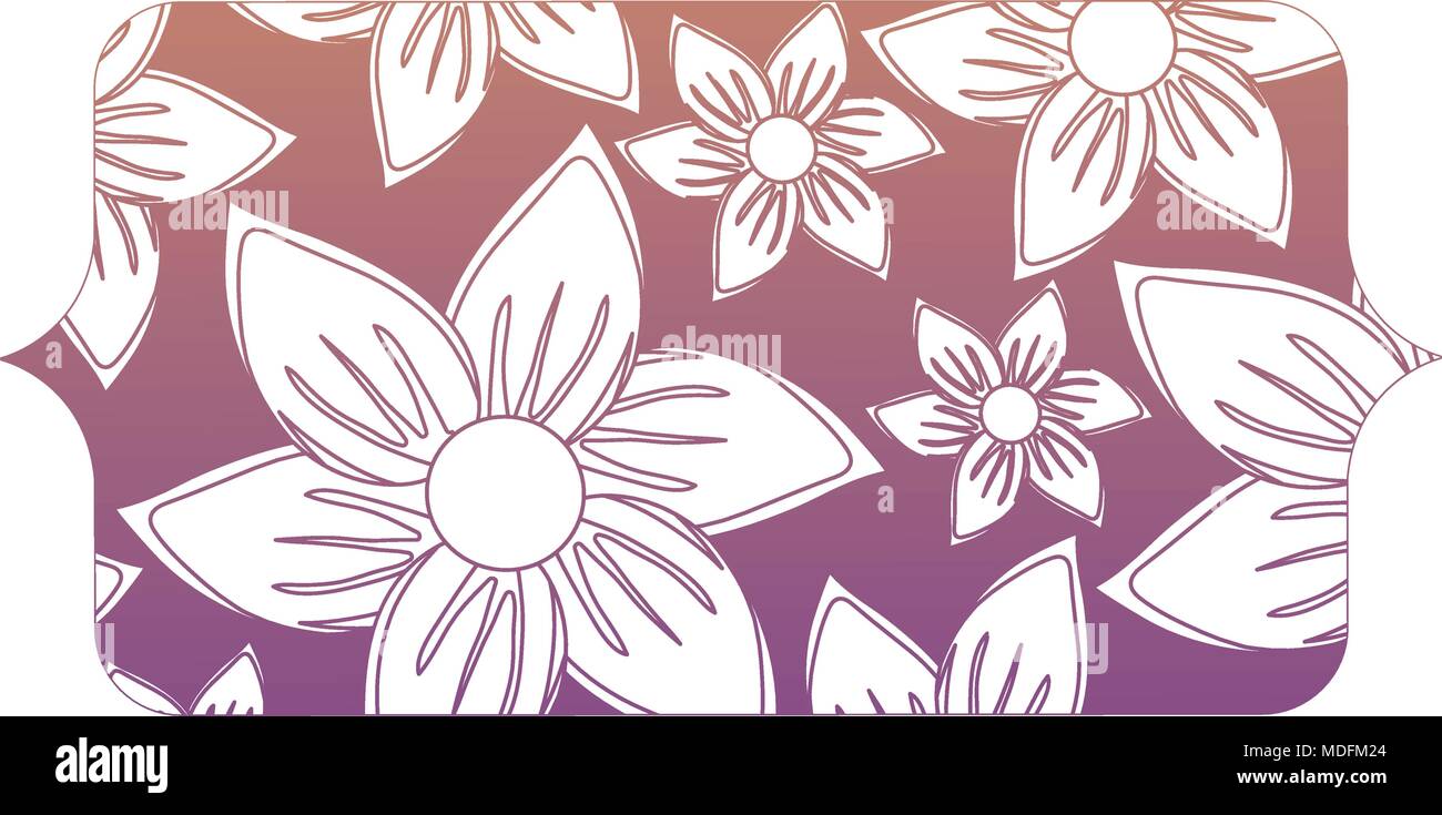 colorful banner with beautiful flowers design, vector illustration ...