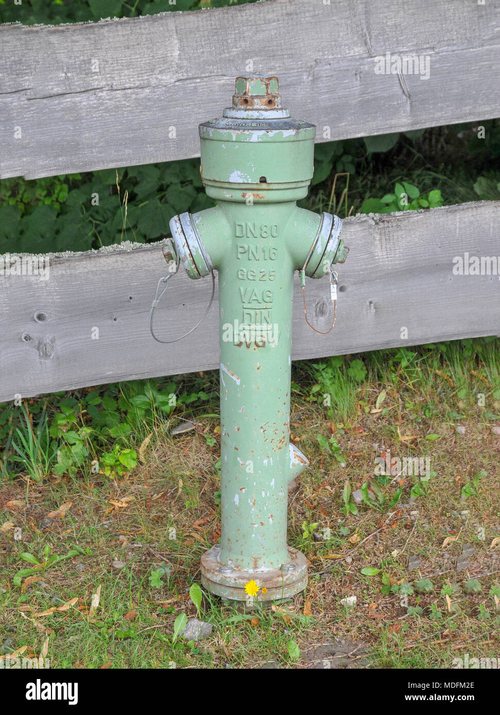 Green Fire hydrant in a forest at Titisee, Neustadt, (Black forest ...