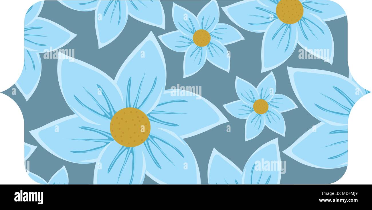 colorful banner with beautiful flowers design, vector illustration ...