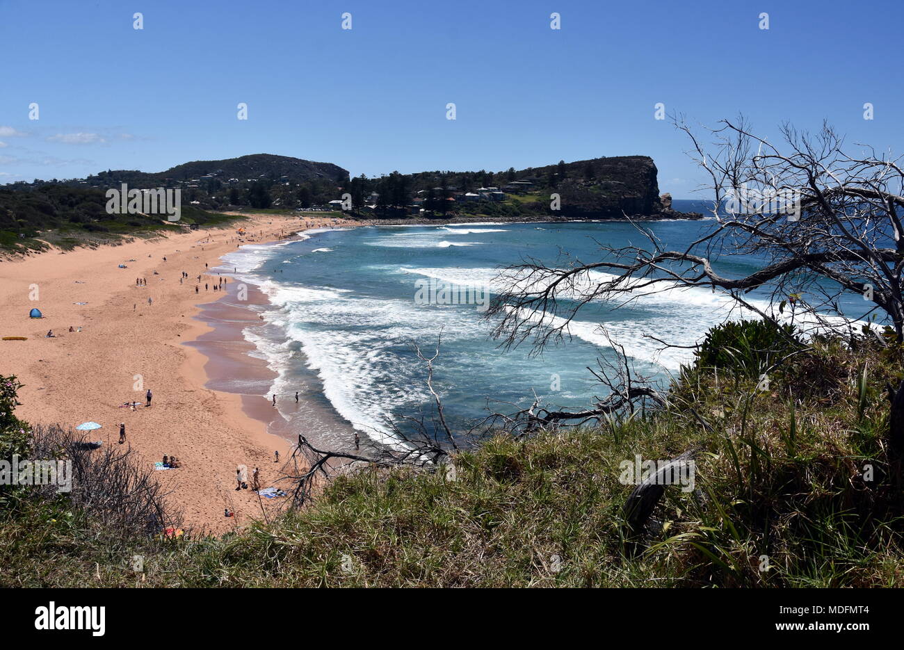 Sydney avalon beach hi-res stock photography and images - Alamy