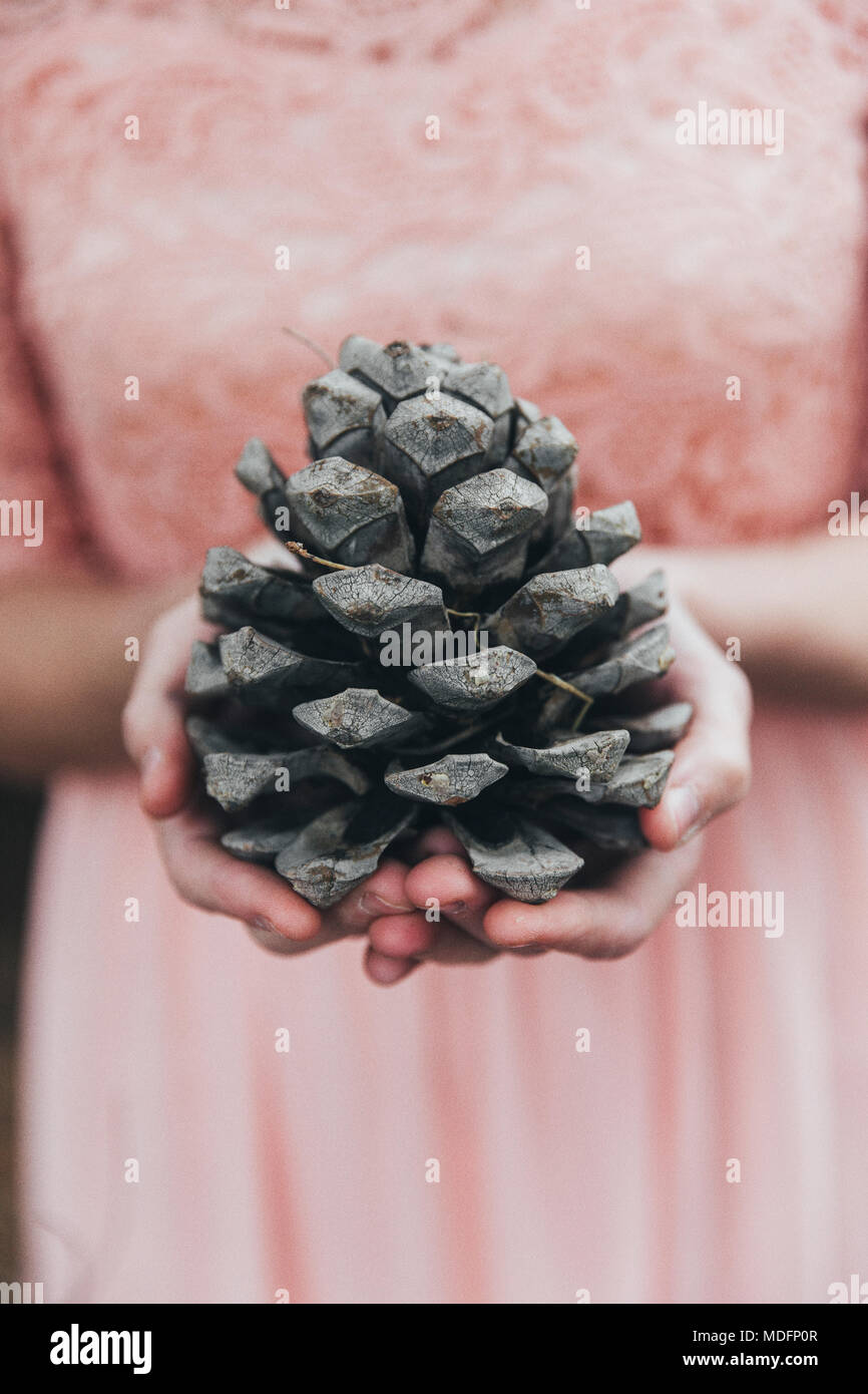 Pinecone in hands hi-res stock photography and images - Alamy
