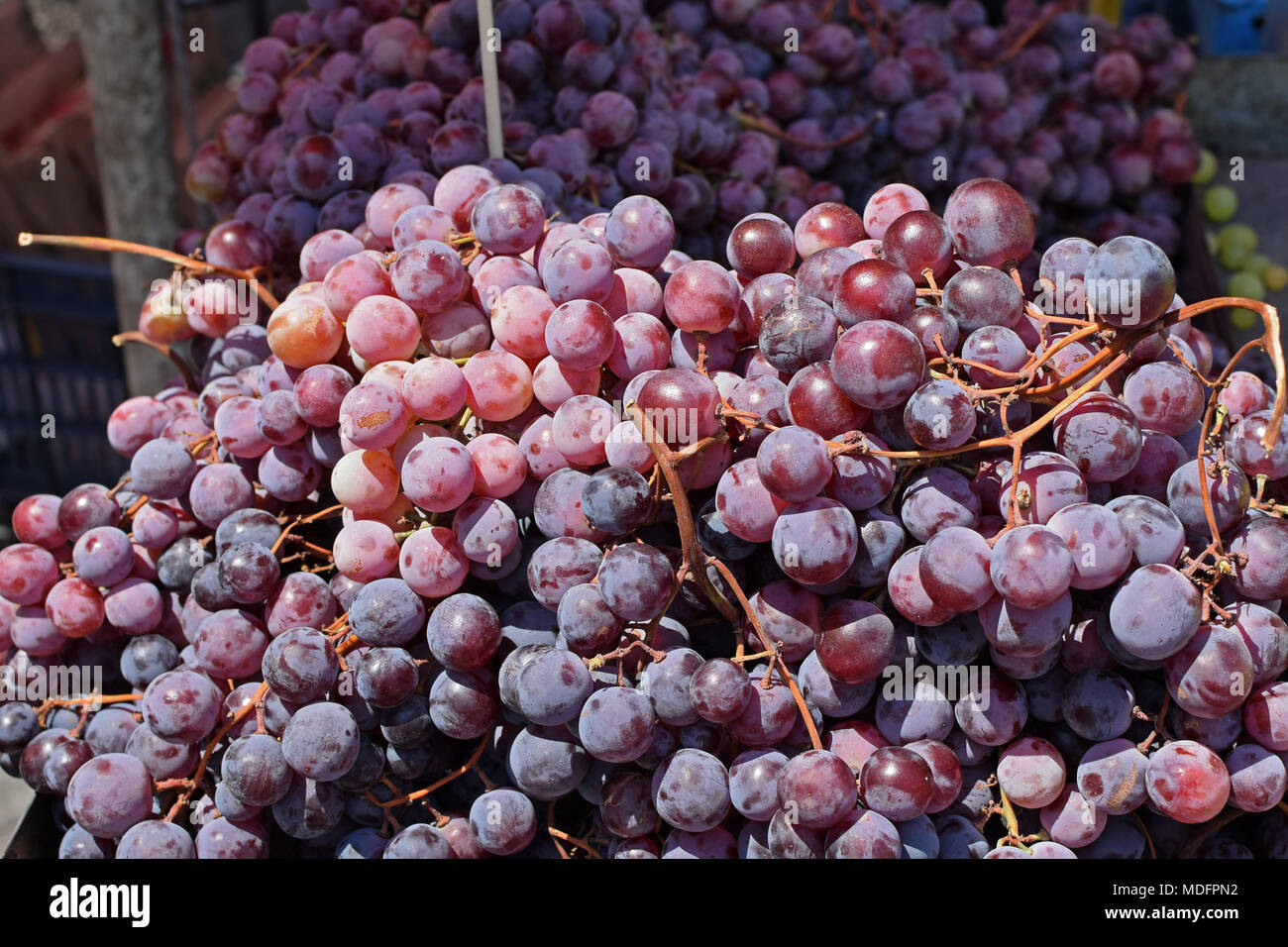 Grapes grocery store hi-res stock photography and images - Alamy