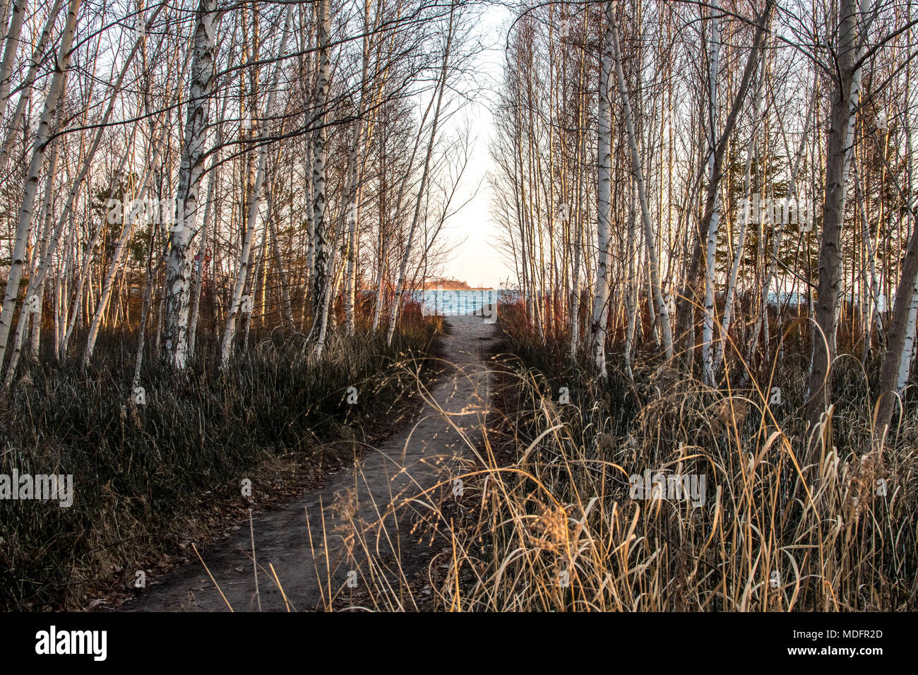 Toronto ontario landscape hi-res stock photography and images - Alamy