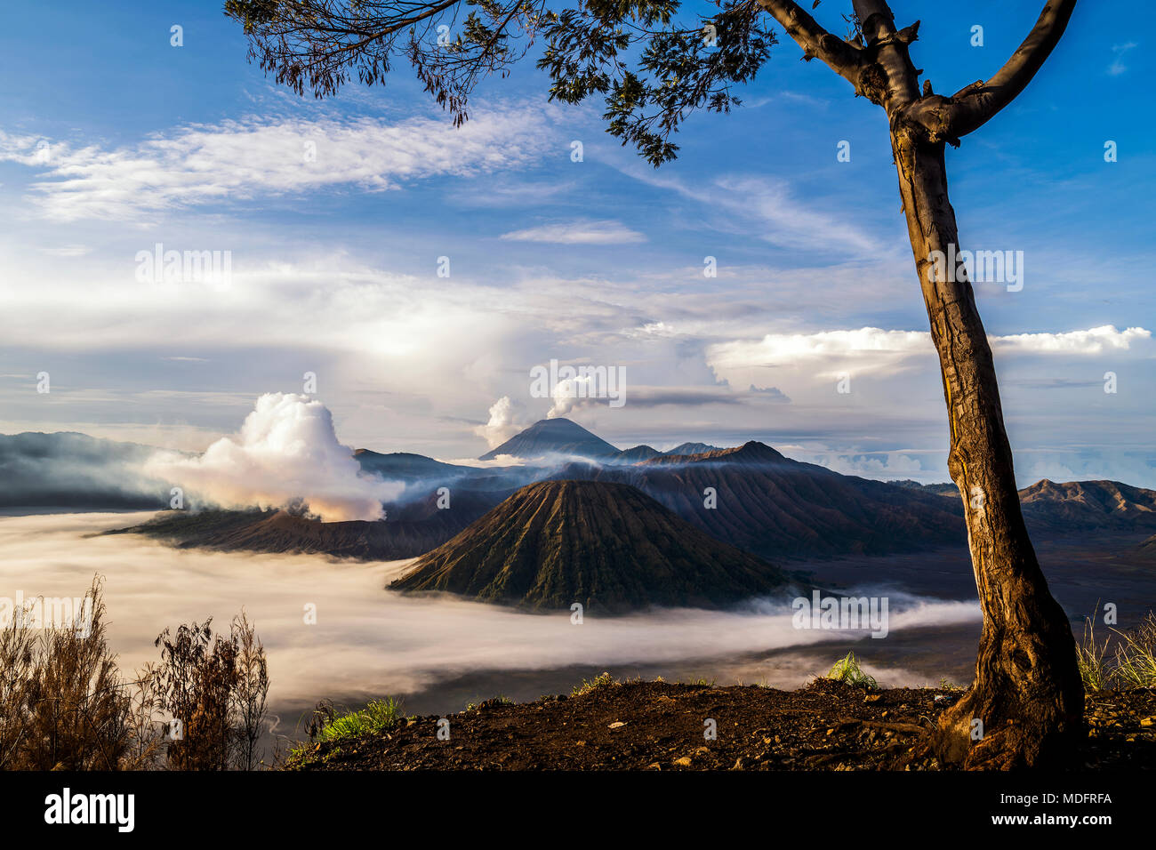 Mt Bromo landscape, East Java, Indonesia Stock Photo - Alamy