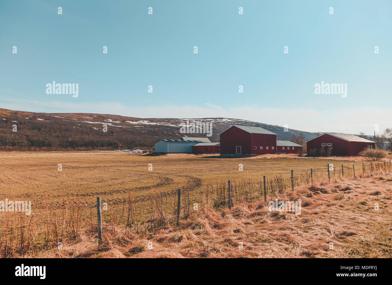 Field in northern Norway on a sunny day Stock Photo - Alamy