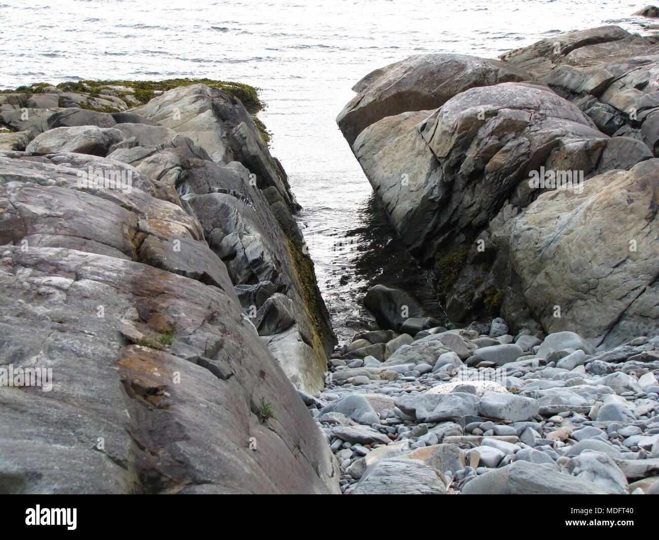 Cleft hi-res stock photography and images - Alamy