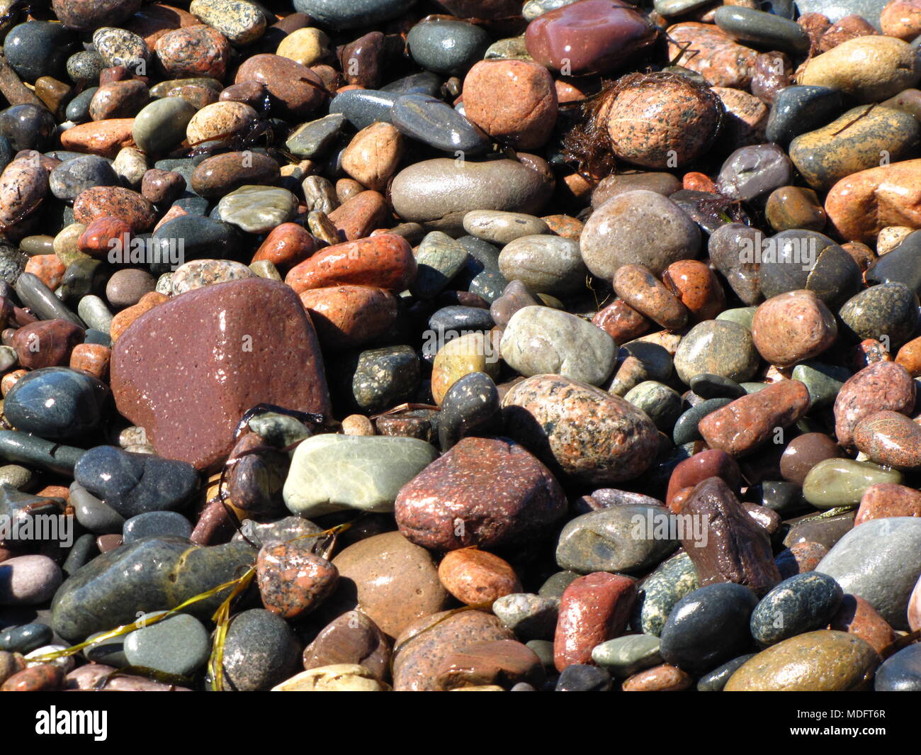 Canada wet hi-res stock photography and images - Alamy