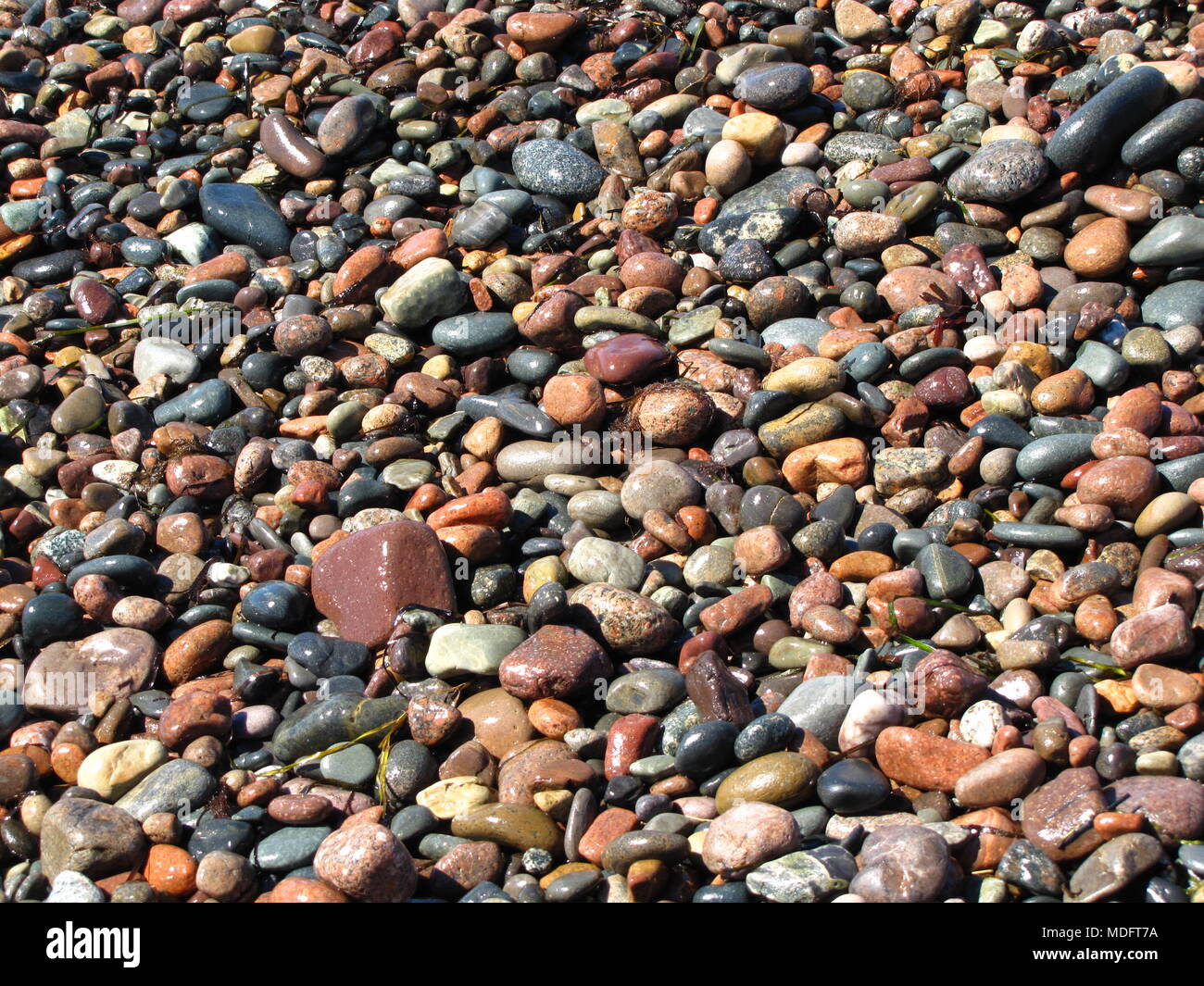 Wet stones at Long Beach, Lower East Chezzetcook, Nova Scotia, Canada ...