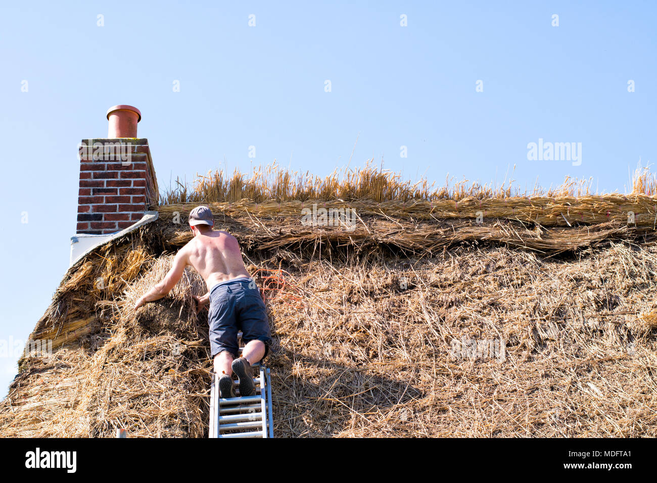 Master Thatcher Thatching Cottage Roof Stock Photo - Alamy