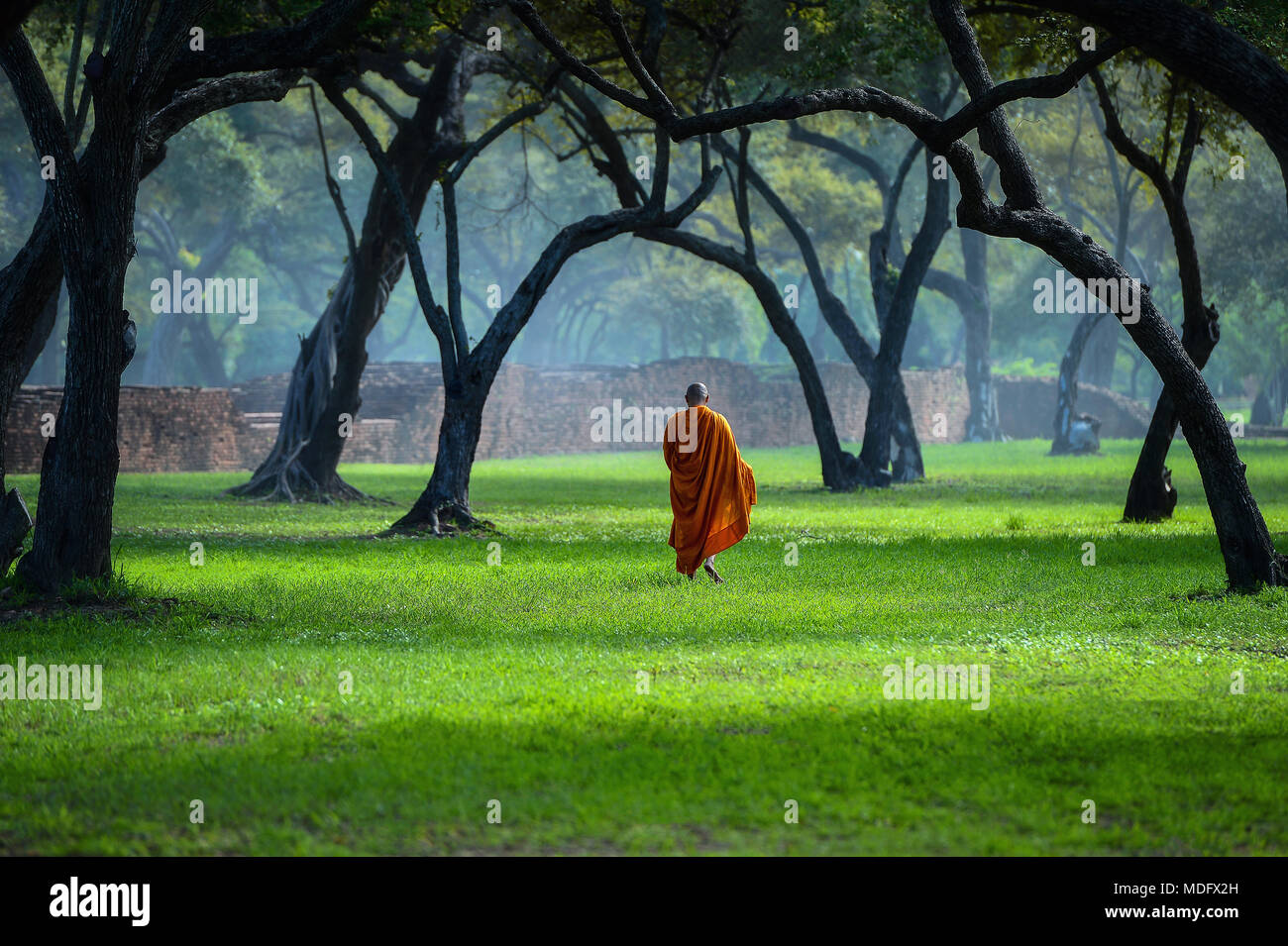 Buddhist monks in motion hi-res stock photography and images - Alamy