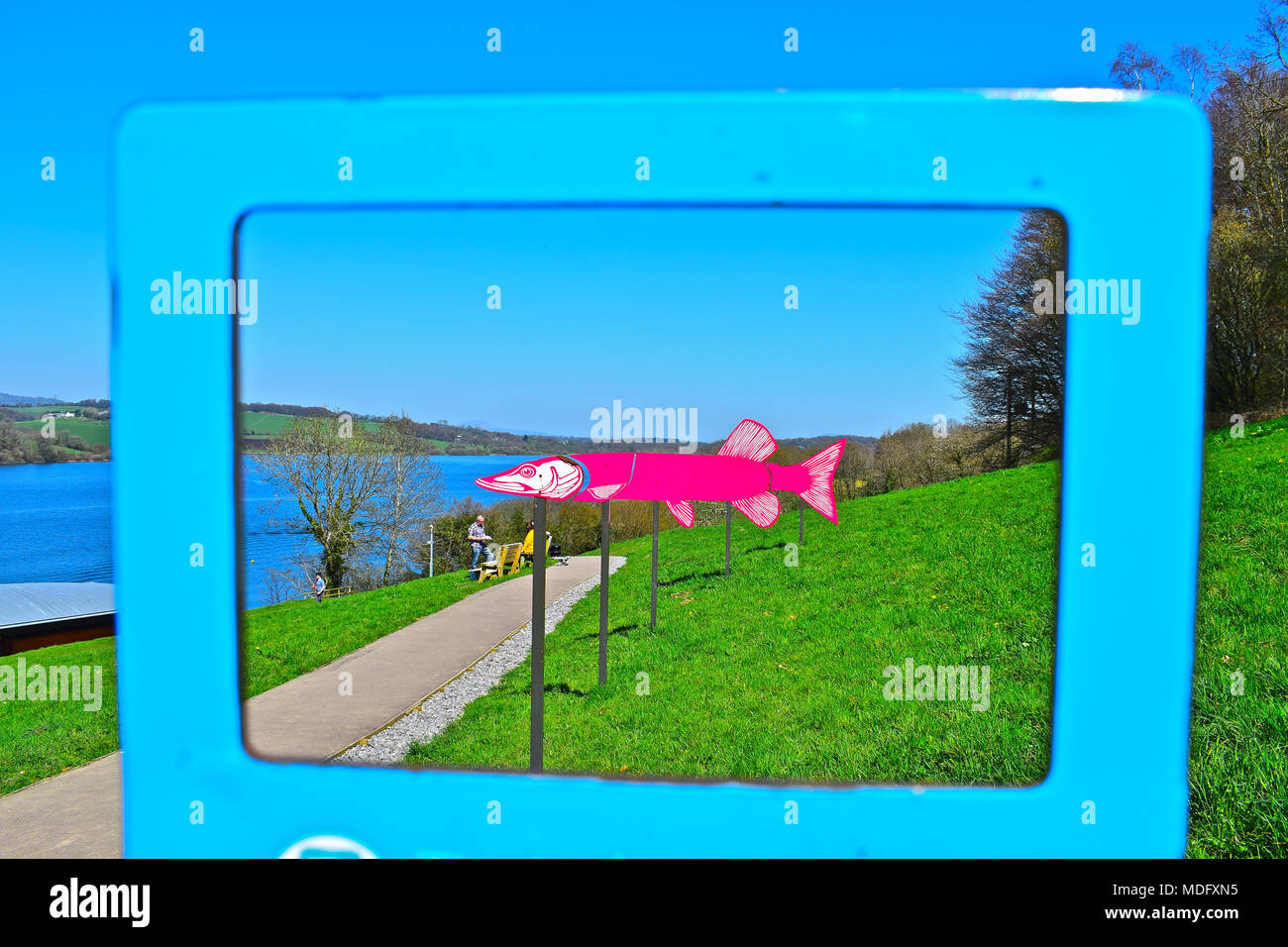 Pink Pike Picture! An optical illusion created by looking through the ...