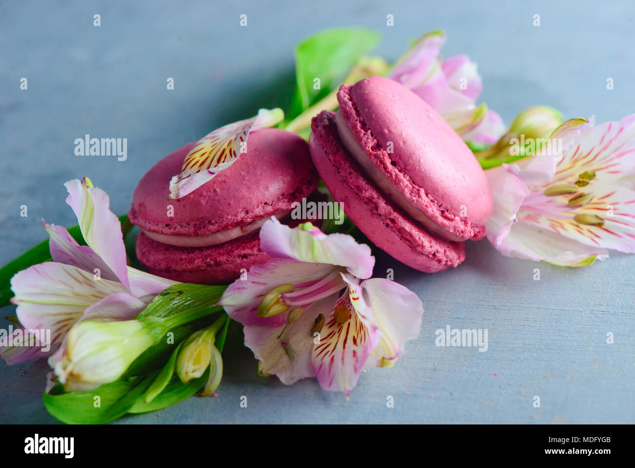 Pink macaroon close-up with spring flowers and buds. French dessert on ...