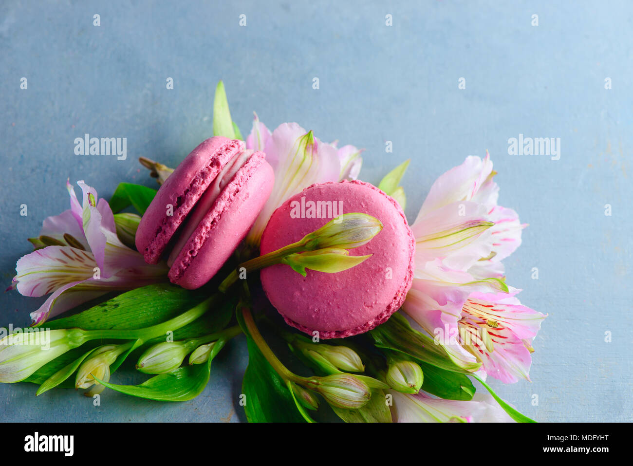 Pink macaroon close-up with spring flowers and buds. French dessert on ...
