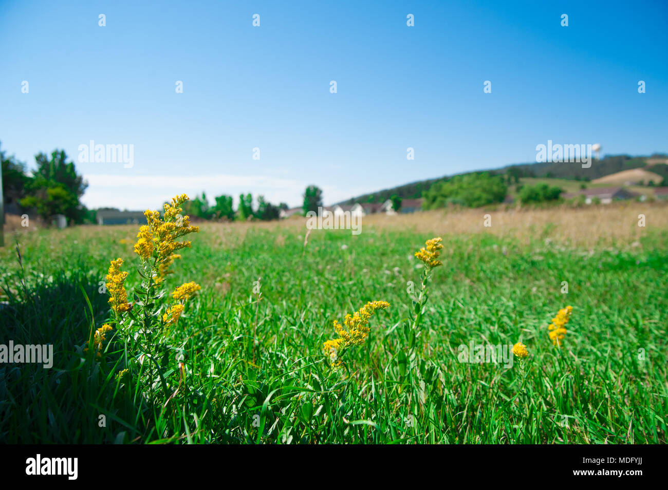 Landscape of the country side in America. America is a continent where ...
