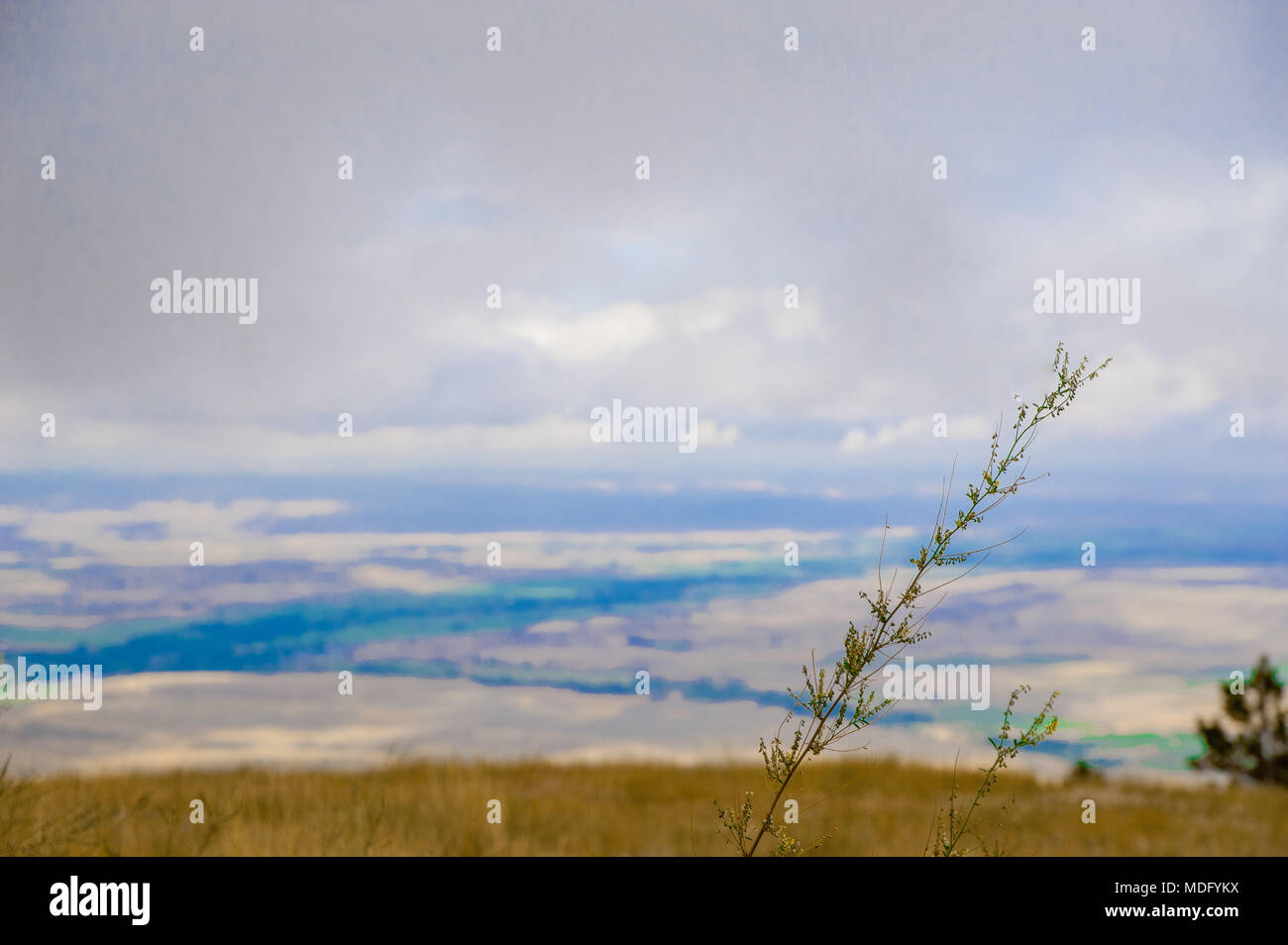 Landscape of the country side in America. America is a continent where American mainly live ...